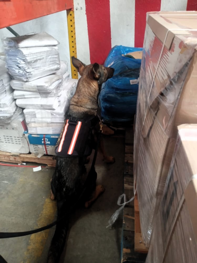 Binomio_alertando_presencia_ilicitos | POLICÍA ANTINARCÓTICOS DE GUATEMALA